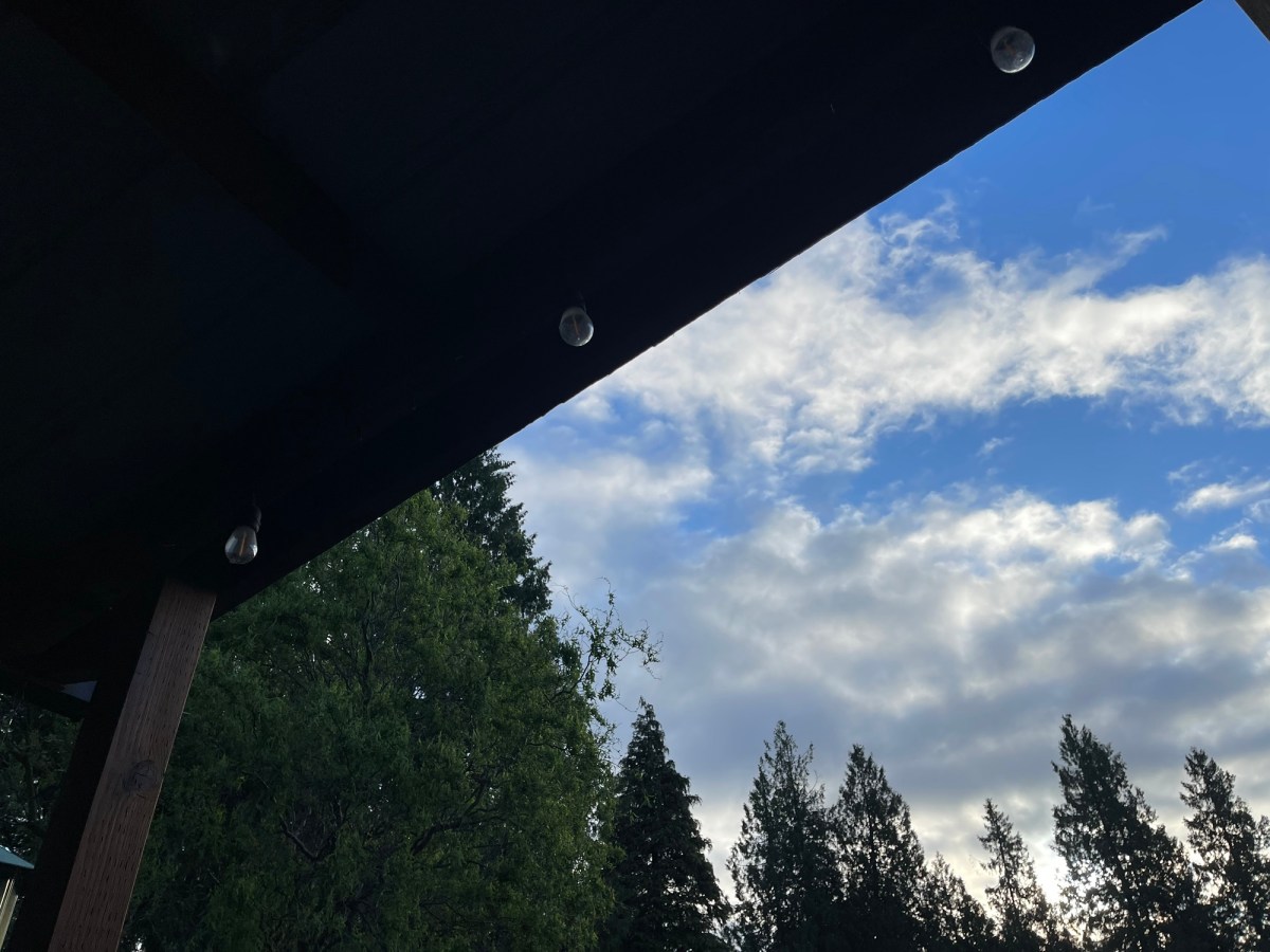 Feeding the hooligans – Jecture, exploring BDSM and sexuality